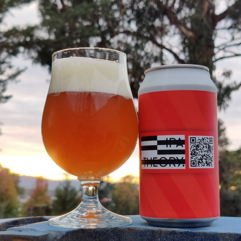 Ocho Beer: Where Every Sip Tells a Story